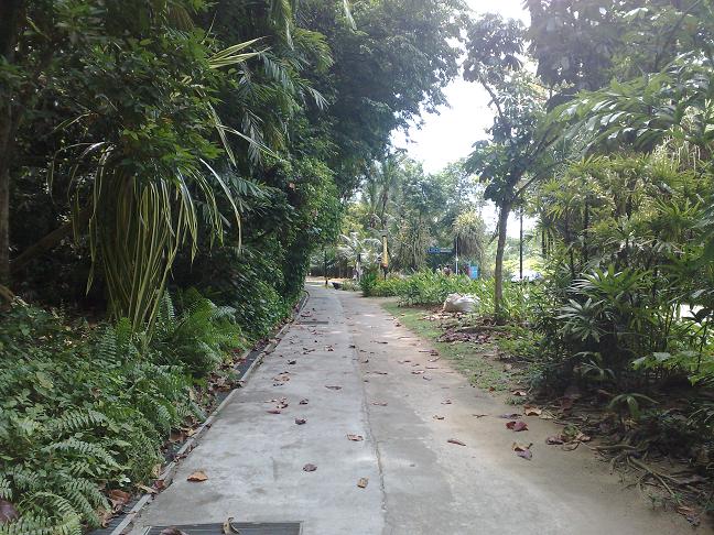 Sentosa - Running Maps in the World